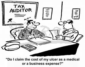 Auditor Cartoon